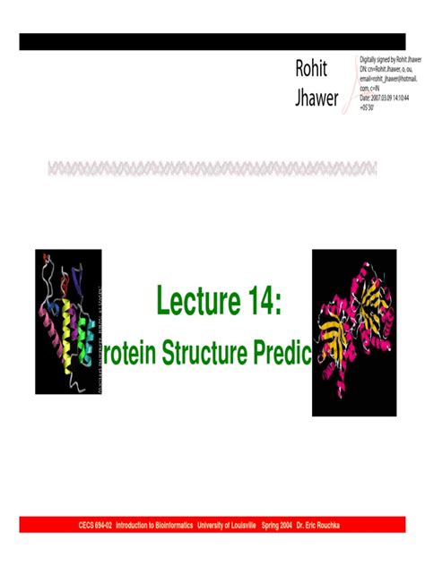 exploring protein structure an overview of secondary structures folding principles and