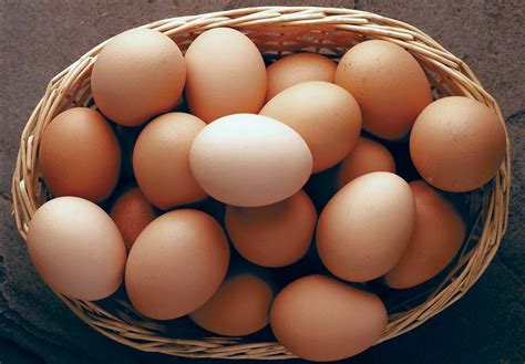 Egg Nutrition Recipes Benefits Britannica
