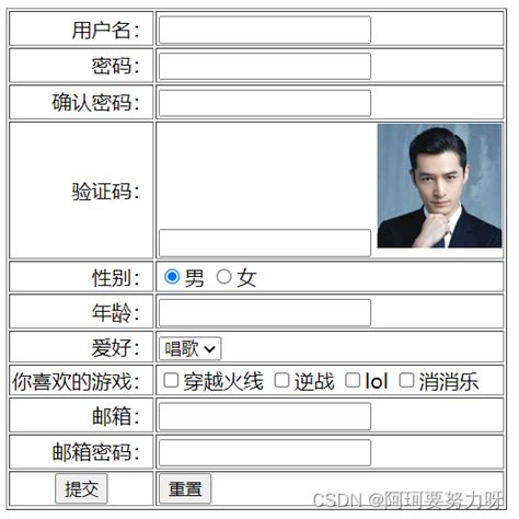 html 表单控件语法汇总及其案例 html表单学习案例 csdn博客