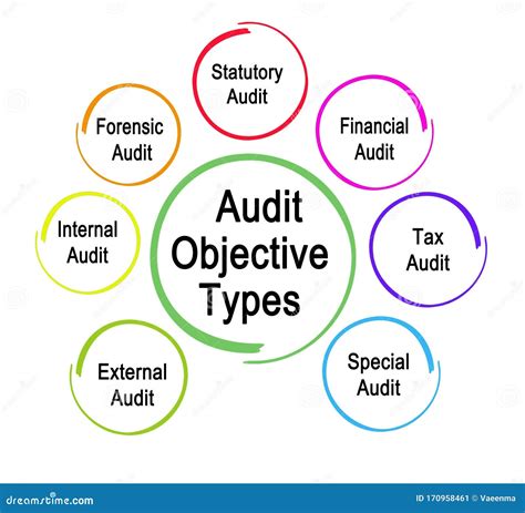 Types Of Audit Objective Stock Illustration Illustration Of Seven
