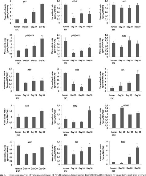 Figure 1 From EMBRYONIC STEM CELLS INDUCED PLURIPOTENT STEM CELLS