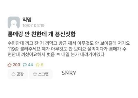 웃긴 짤에 있는 So jeng Kim님의 핀 웃긴 인용구 웃긴 밈 재미있는 문구
