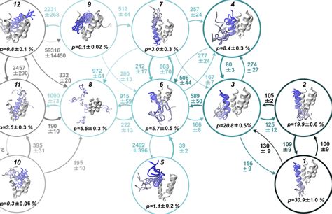 Transition Network Representation Of A Deep Markov State Model Of