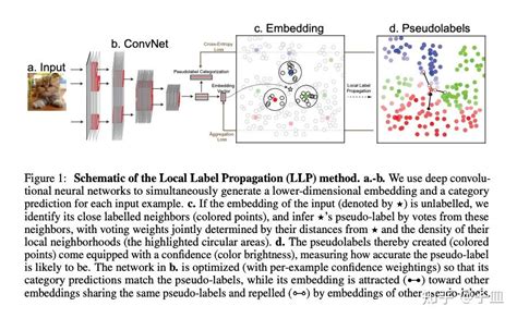 《local label propagation for large scale semi supervised learning》 知乎