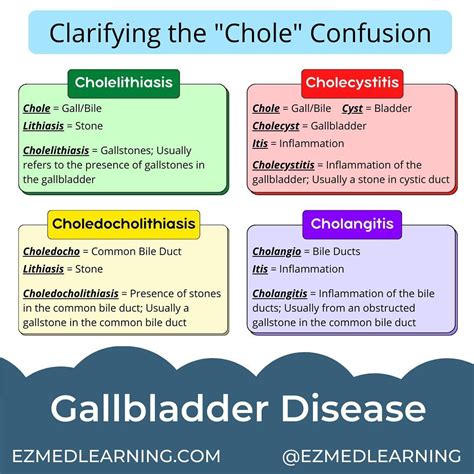 Medical Terminology Root Word Flashcards Examples 47 OFF