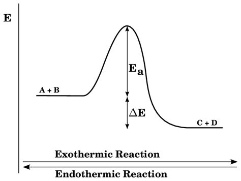 Exothermic And Endothermic Reaction Graph