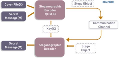 steganography tutorial a complete guide for beginners edureka