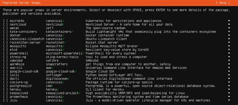 How To Install Ubuntu 20 04 Server On VMware Workstation GetLabsDone