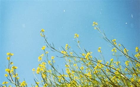 Introduction To Spring Data JPA Part 4 Bidirectional One To Many