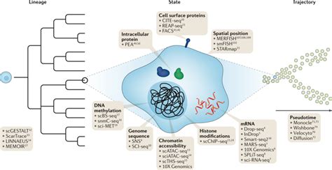 integrative single cell analysis rna sequencing linnaeus gene expression genome data science