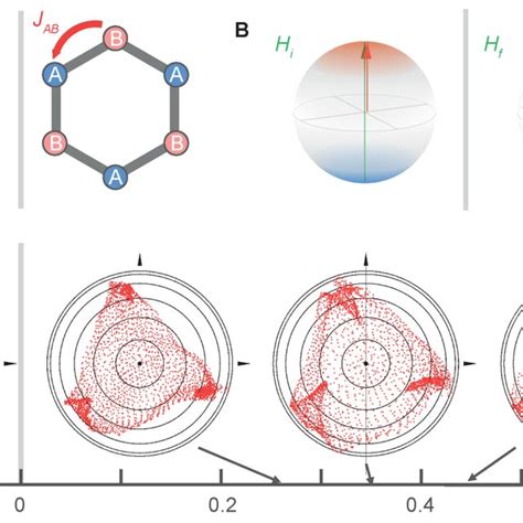 pdf observation of a dynamical topological phase transition
