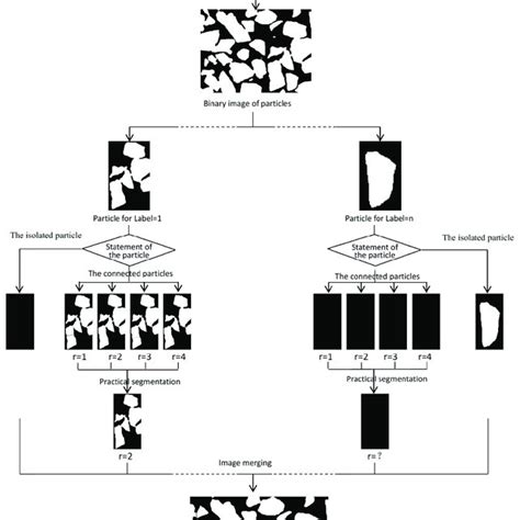 the morphological multiscale algorithm flow chart for adhesion download scientific diagram