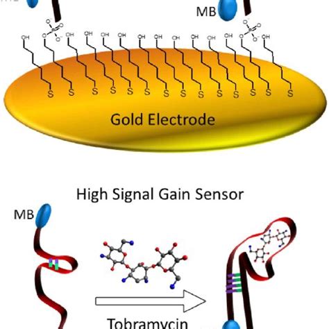 Electrochemical Aptamer Based Sensors Employing Structureswitching