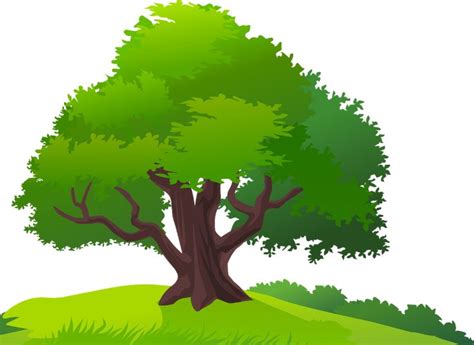 An Image Of A Tree In The Grass