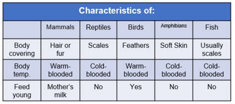 01 UNIT Classifying Organisms Flashcards Quizlet