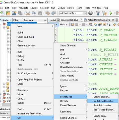 Java Solutions NetBeans COMMIT Master Does Not Exist