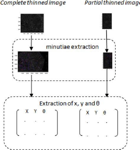 figure 1 from person s identification with partial fingerprint based on a redefinition of