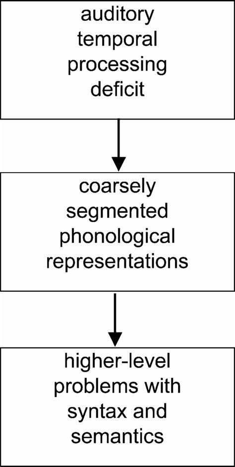 causal route from auditory temporal processing deficit to language download scientific diagram