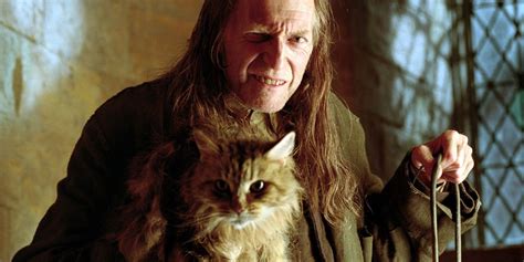 Harry Potter Mrs Norris Is A Maledictus Like Nagini Theory Explained