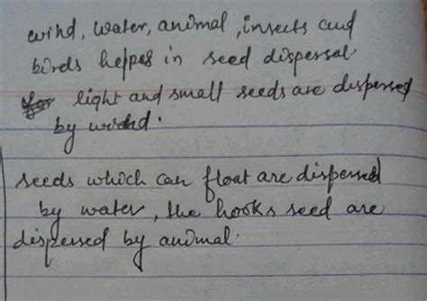 State The Main Difference Between Asexual And Sexual Reproduction