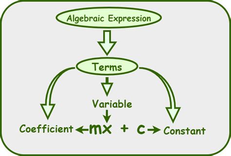 what are terms in an expression geeksforgeeks