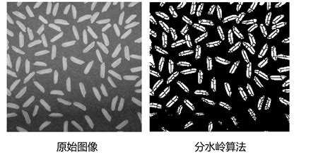 matlab图像处理 分水岭算法 matlab颅内影像分水岭法程序 csdn博客