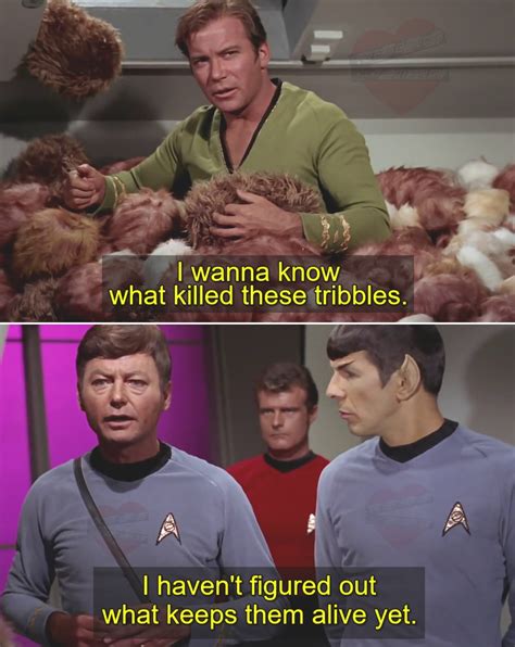 Star Trek 1966 S2e15 • Heart Touching Movie Lines Facebook