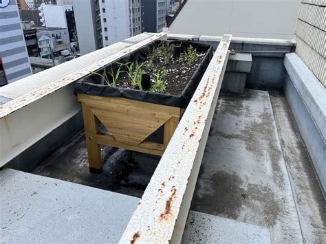 休憩所のリニューアルとビルの屋上のプランター現場だより