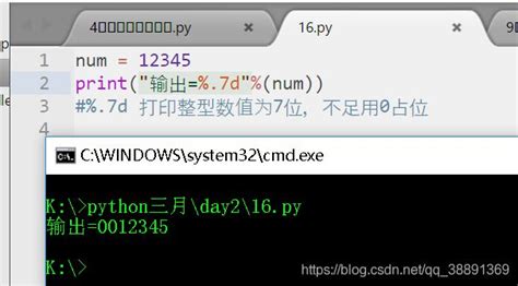 python占位符 d s f r的使用 python d csdn博客