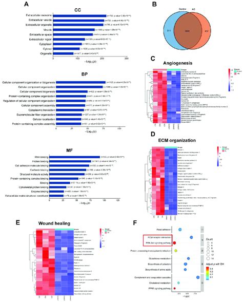 Proteomics Of Con Adscs Cm And Ac Adscs Cm A Go Analysis Of All Download Scientific Diagram