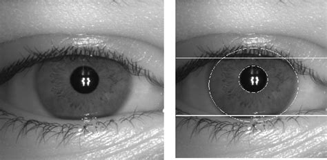 figure 1 from svm based gender classification using iris images semantic scholar