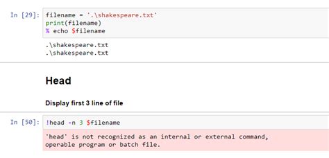 jupyter is not recognized as an internal command design corral