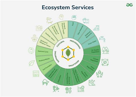 Ecosystem Services Meaning Types Importance And Examples