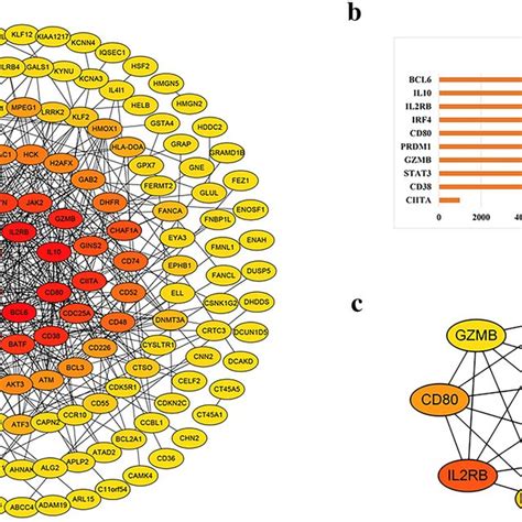 The PPI Network And Hub Genes Identification A The PPI Network Of DEGs