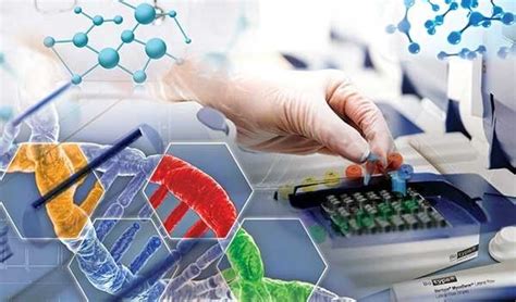 Point Of Care Molecular Diagnostics Market Overview 2023 2028