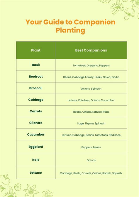 Sunflower Companion Planting Chart Illustrator PDF Template Net