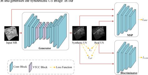 figure 1 from a multi constraint hybrid network for ultrasound image synthesis semantic scholar