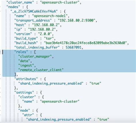 OpenSearch Node Roles How To Configure All Node Roles