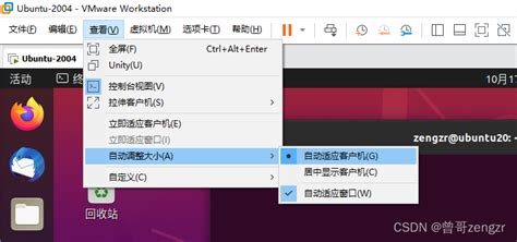 linux ubuntu环境搭建 一 ：vmware tools、共享文件夹、网络、软件源配置及vim安装 vmware安装vim csdn博客