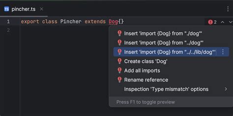 typescript webstorm documentation