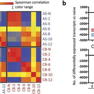 Whole Blood Transcriptomic Analyses Reveal Distinct Host Responses In