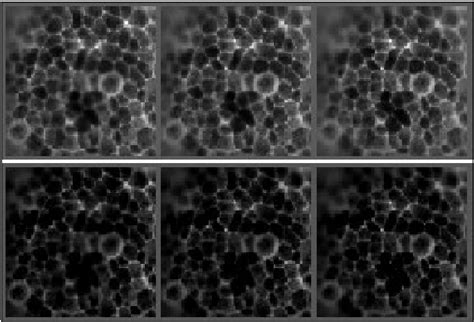 figure 1 from positive constrained iterative deconvolution algorithm applied to three