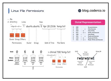 Linux Series EP1 Understanding And Mastering File Permissions