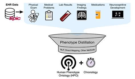 automated extraction of phenotypes relevant to pediatric genetic disease using natural language