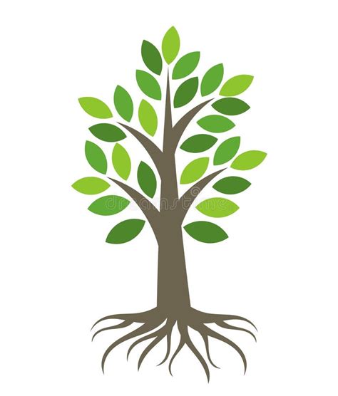 Tree With Roots Stock Vector Illustration Of Original 17778038