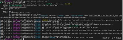 minio单机、集群搭建、spring boot集成，详细步骤 springboot整合minio集群 csdn博客