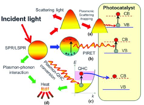 LSPR Excitation And Possible Energy Transfer Routes For Various