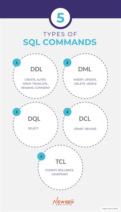 exploring different types of sql commands newgen analytica