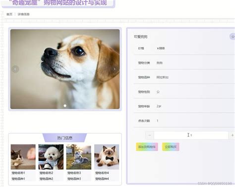 nodejs vue宠物交易商城购物网站express vscode vue js做一个网上宠物商店 csdn博客