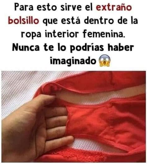¿para Qué Sirve El Bolsillo Que Está Dentro De La Ropa Interior Femenina ~ Remeras Personalizadas